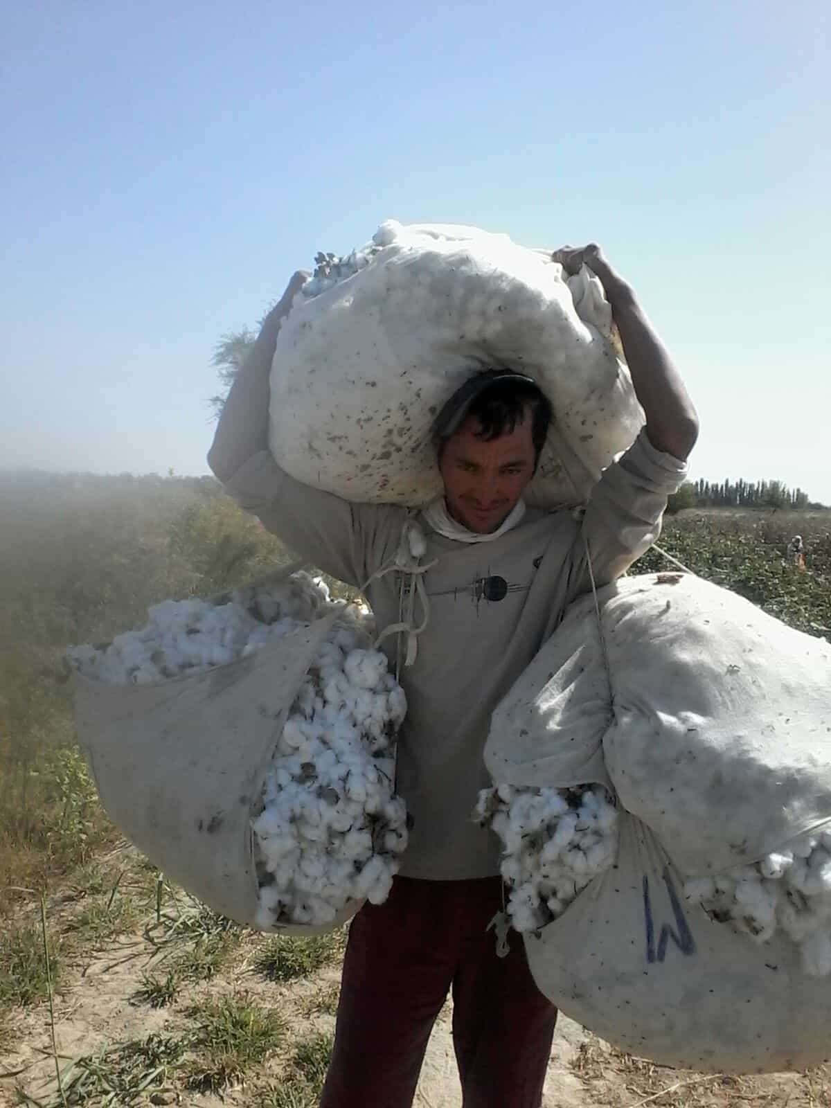 Forced Labor in Uzbek Cotton Harvest - FreedomUnited.org