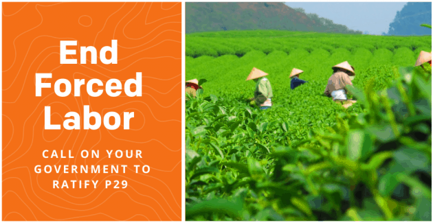 International Law on Forced Labor | Freedom United