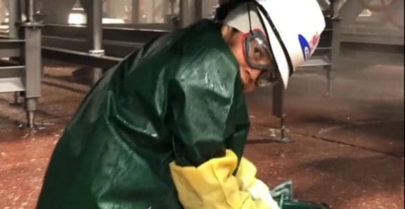 Stop child exploitation - FreedomUnited.org